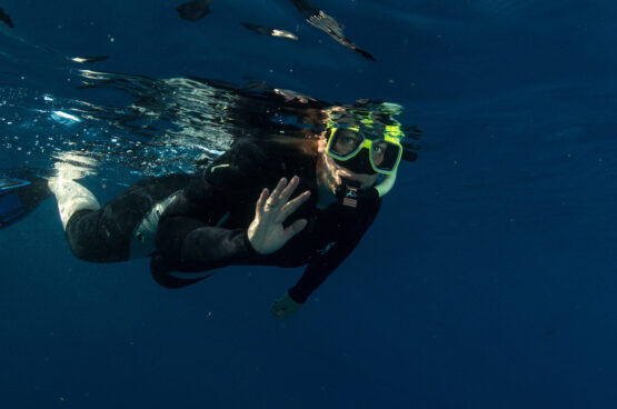 Harnessing the power of citizen science - Marine and Coastal Hub