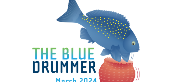 Planning for northern Australia’s future - Marine and Coastal Hub