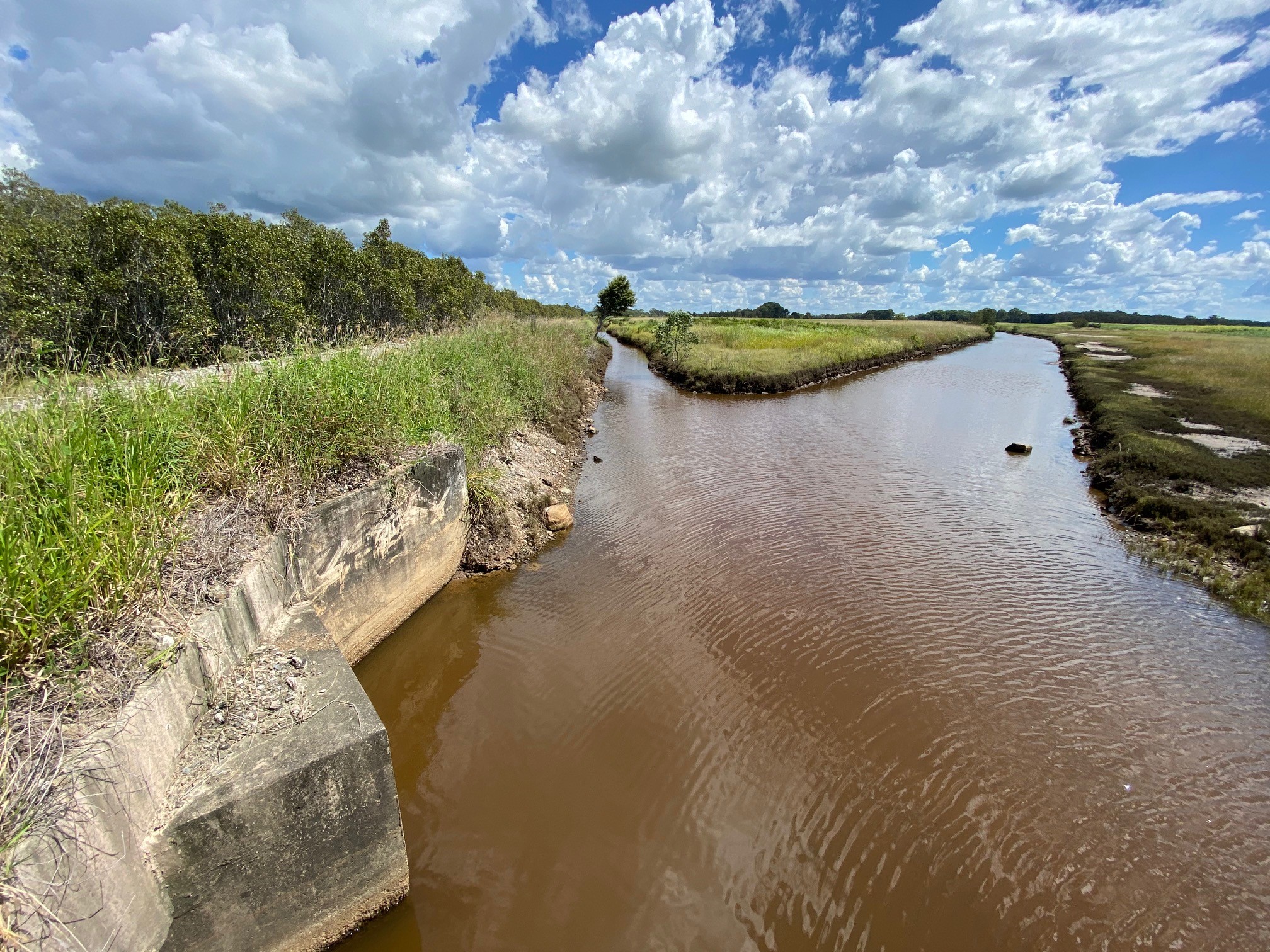 A new method to identify sites for coastal wetland restoration - Marine ...