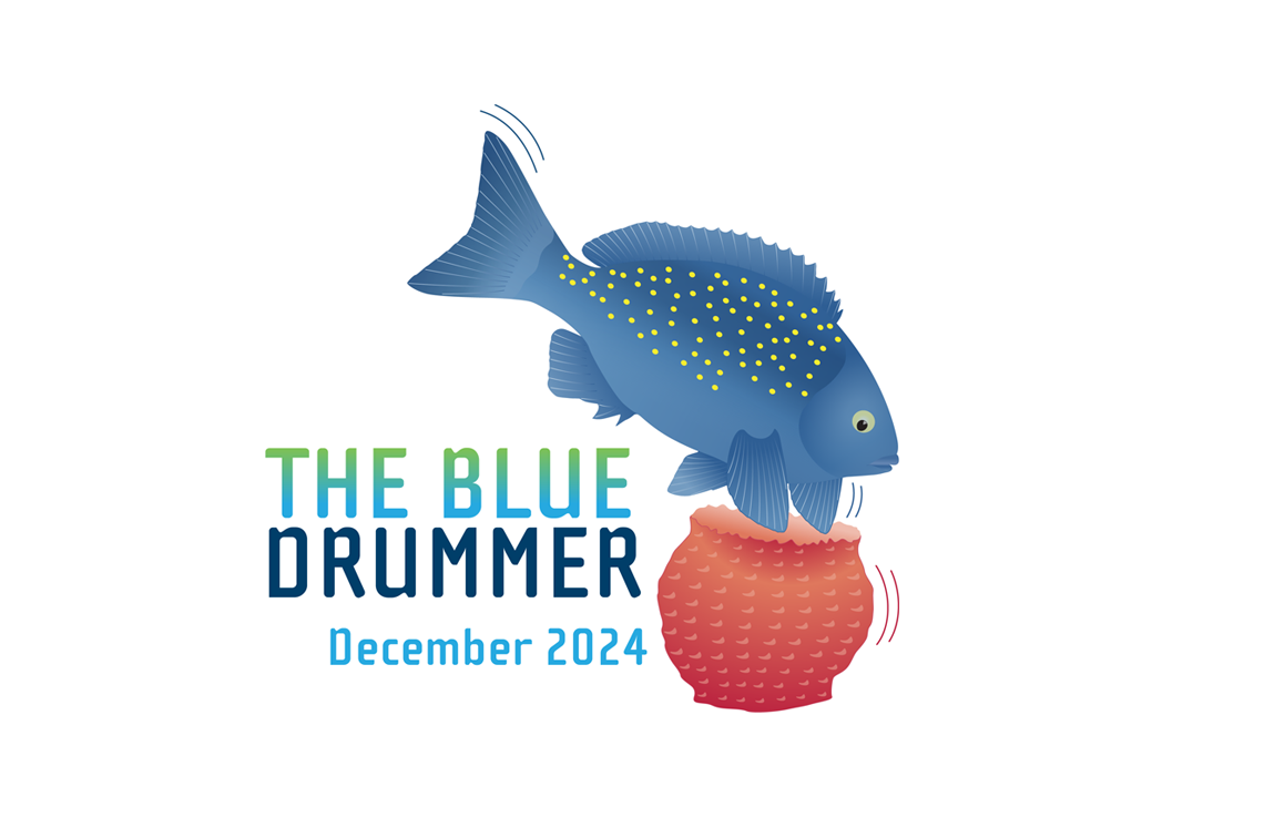 The Blue Drummer Marine and Coastal Hub newsletter, December 2024 ...