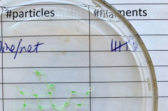 Method in microplastics: best-practice manual builds collaboration and ...