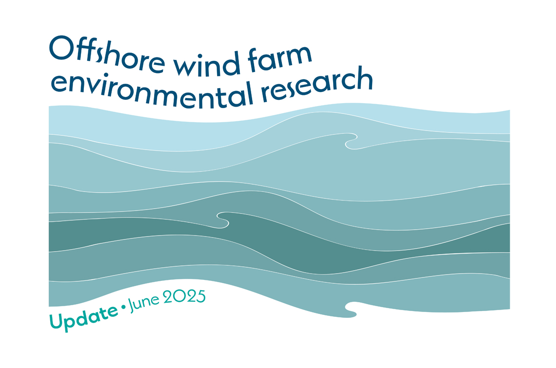 Marine and Coastal Hub offshore wind farm environmental research update, June 2025 - Marine and ...