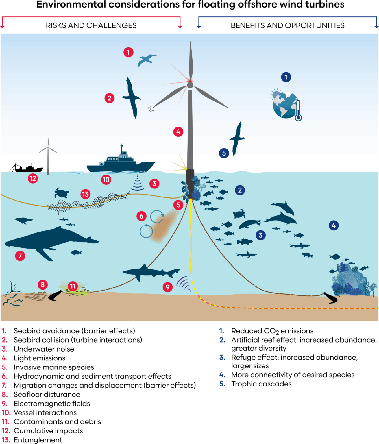 Marine and Coastal Hub offshore wind farm environmental research update ...