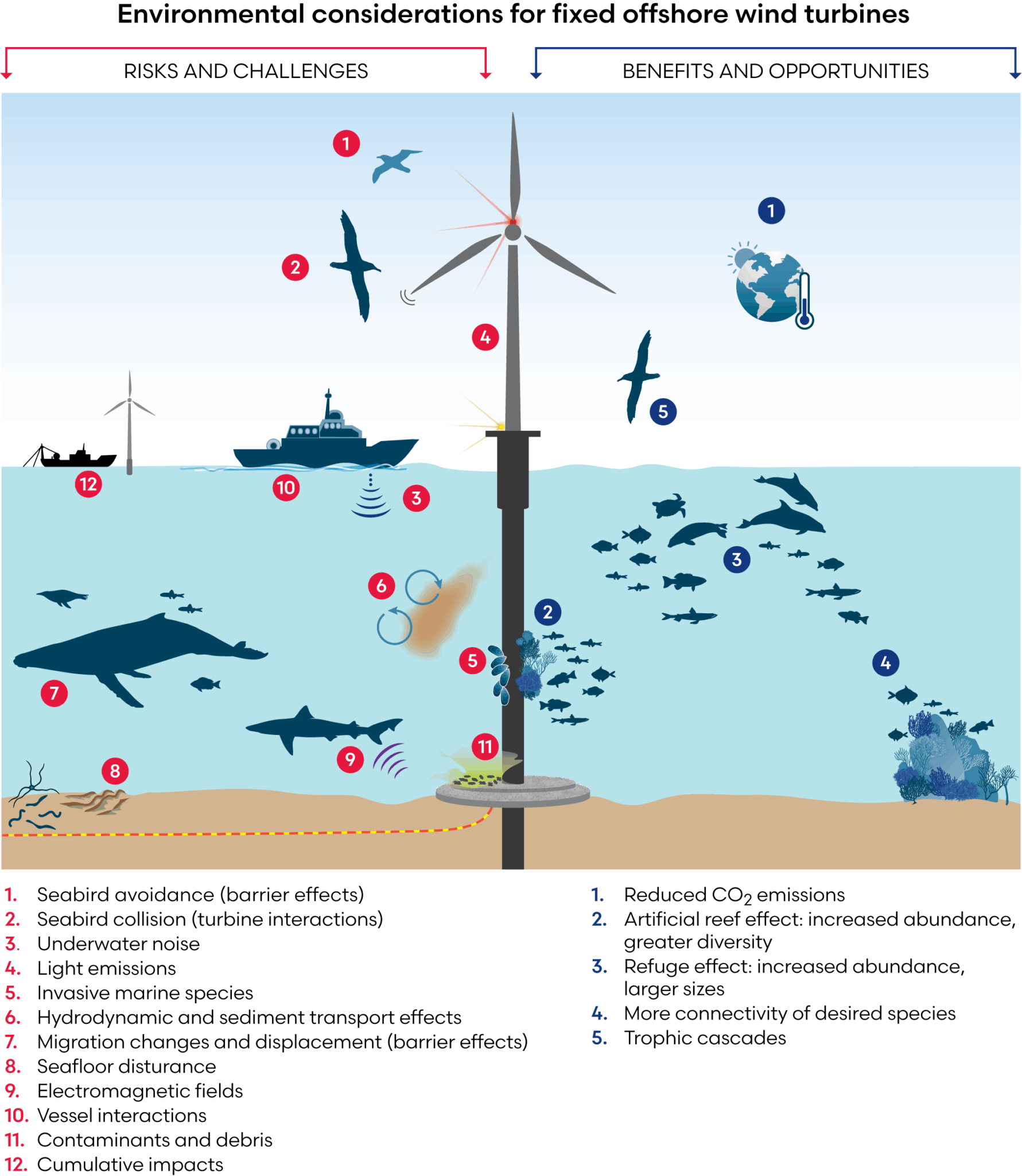 Marine and Coastal Hub offshore wind farm environmental research update ...